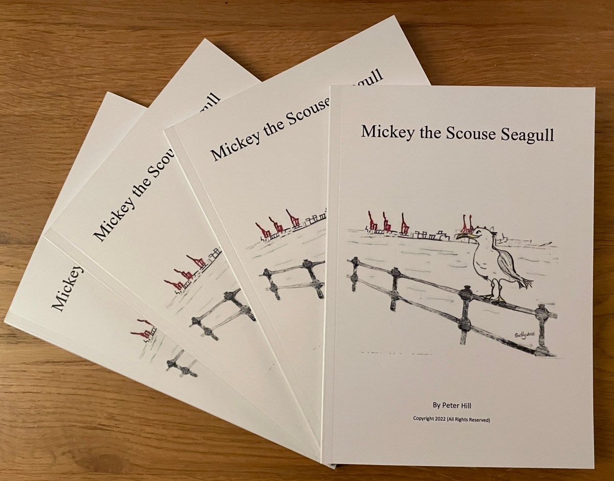 Mickey’s Online Shop – Mickey the Scouse Seagull